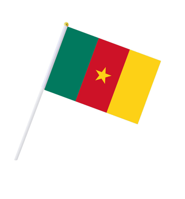 Best price for 2pcs Cameroon small flag with plastic flagpole Football ...