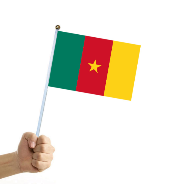 Best price for 2pcs Cameroon small flag with plastic flagpole Football ...